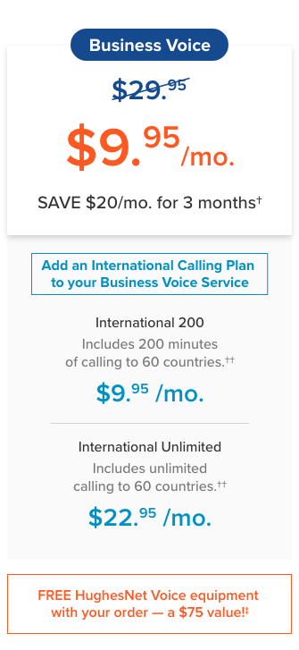 Business Voice | HughesNet for Business